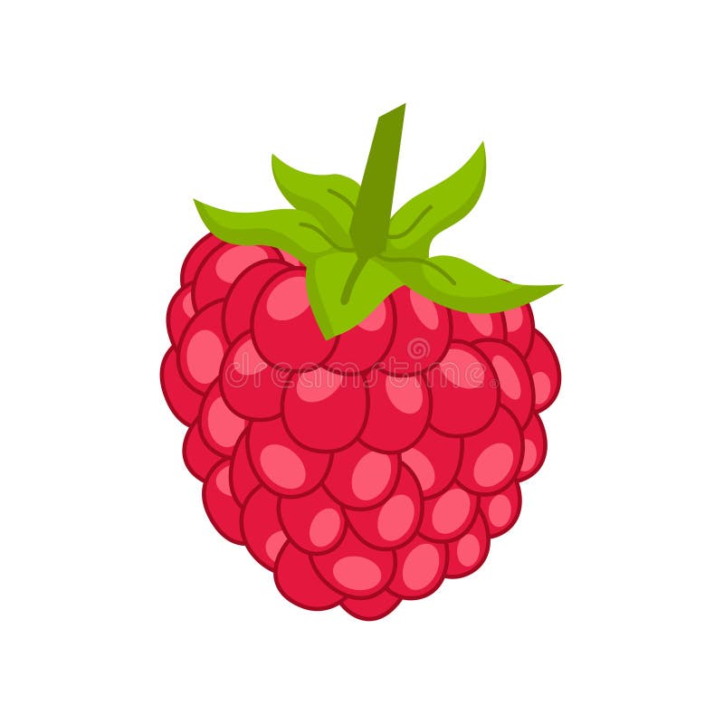 Raspberry Icon. Isolated on White Background. Cartoon Illustration of ...