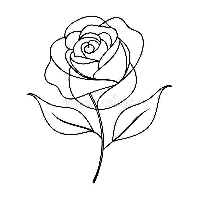 Elegant Rose Flower Line Art Vector Illustration. Stock Vector ...