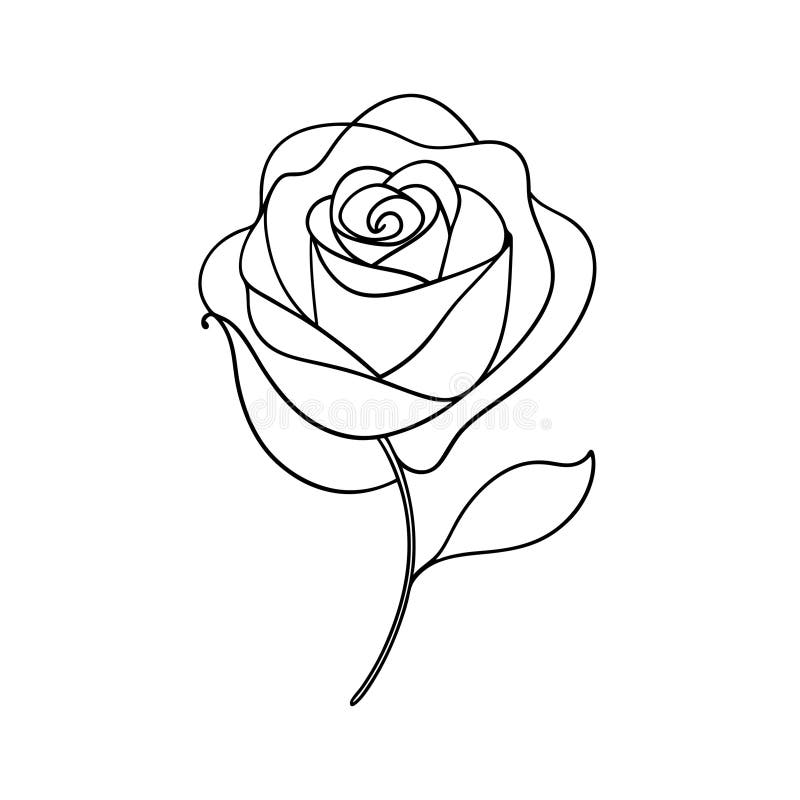 Elegant Rose Flower Line Art Vector Illustration. Stock Vector ...