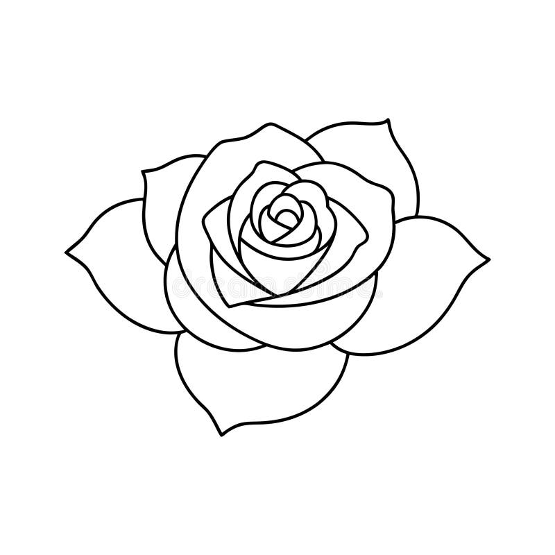 Elegant Rose Flower Line Art Vector Illustration. Stock Vector ...