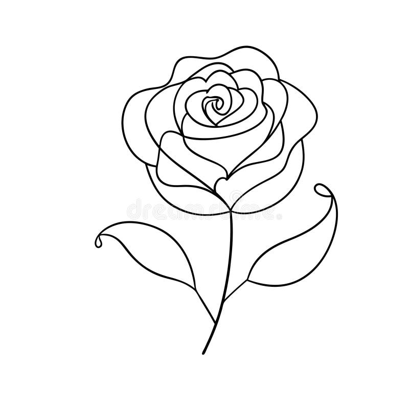 Elegant Rose Flower Line Art Vector Illustration. Stock Illustration ...