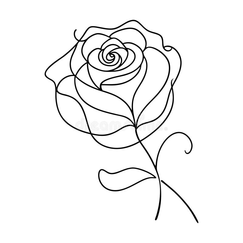 Elegant Rose Flower Line Art Vector Illustration. Stock Illustration ...