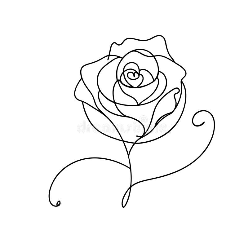 Elegant Rose Flower Line Art Vector Illustration. Stock Vector ...