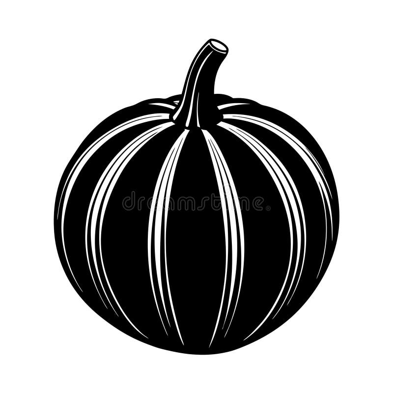 Acorn Squash Vector Art Silhouette – Isolated on White Stock Vector ...