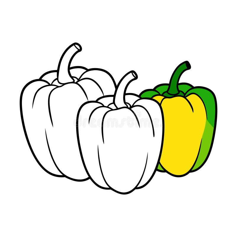 Realistic Bell Pepper Outline Vector Illustration on White Background ...