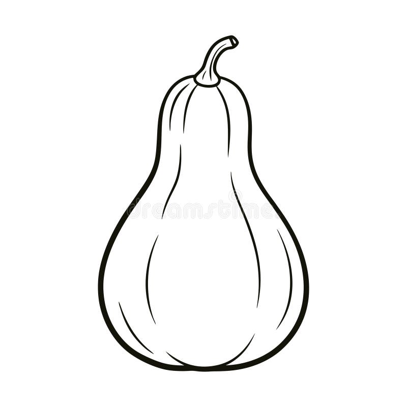 Squash Outline Stock Illustrations – 4,779 Squash Outline Stock ...