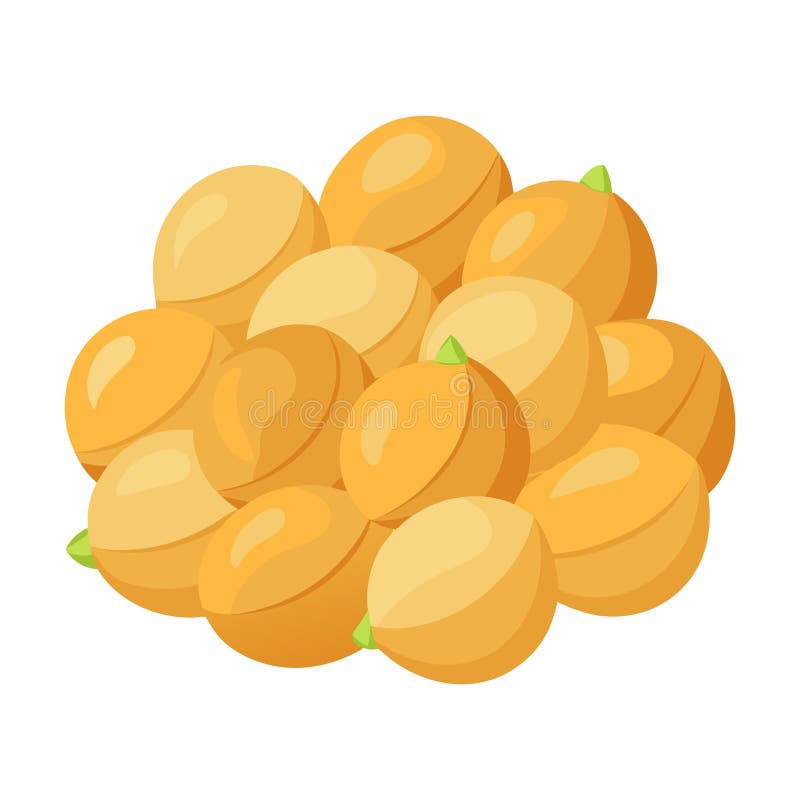 Detailed Chickpeas Vector Graphic – White Background Stock Illustration ...