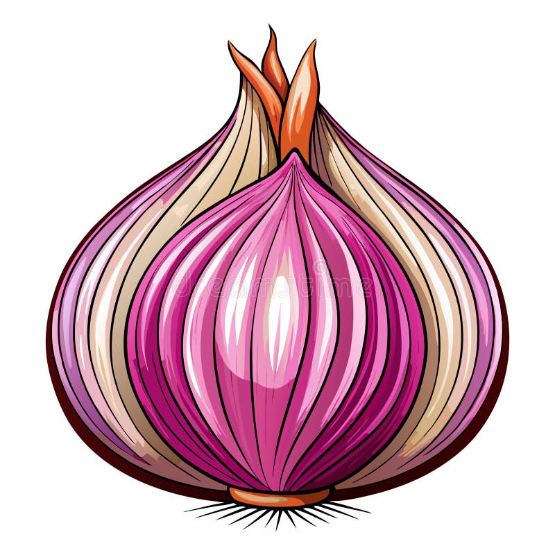 Realistic Shallot Color Vector Illustration on White Background Stock ...