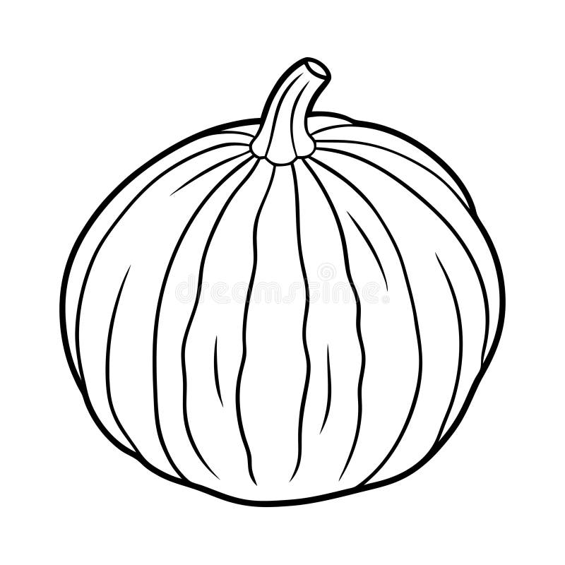 Realistic Spaghetti Squash Outline Vector Illustration on White ...