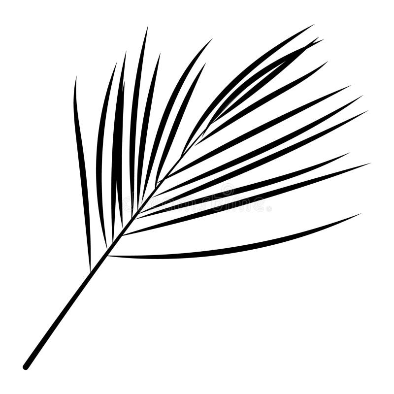 A Detailed Depiction of a Slender Palm Leaf Stock Illustration ...