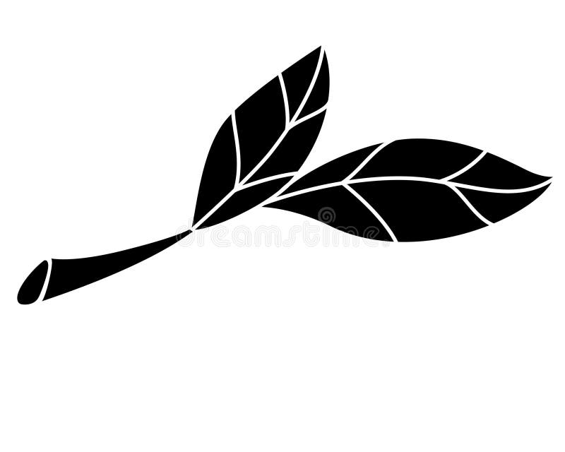 Tree Branch with Leaves - Vector Silhouette Image for Stencil, Logo or ...