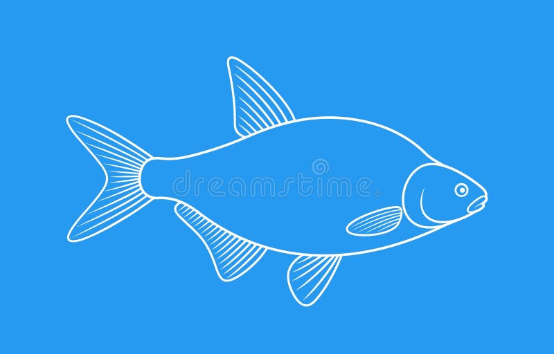 Bream Outline. Isolated Bream on White Background Stock Vector ...