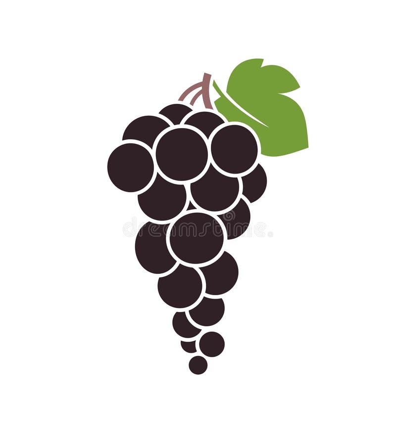 Wine Grapes Logo. Isolated Grapes on White Background Stock Vector ...