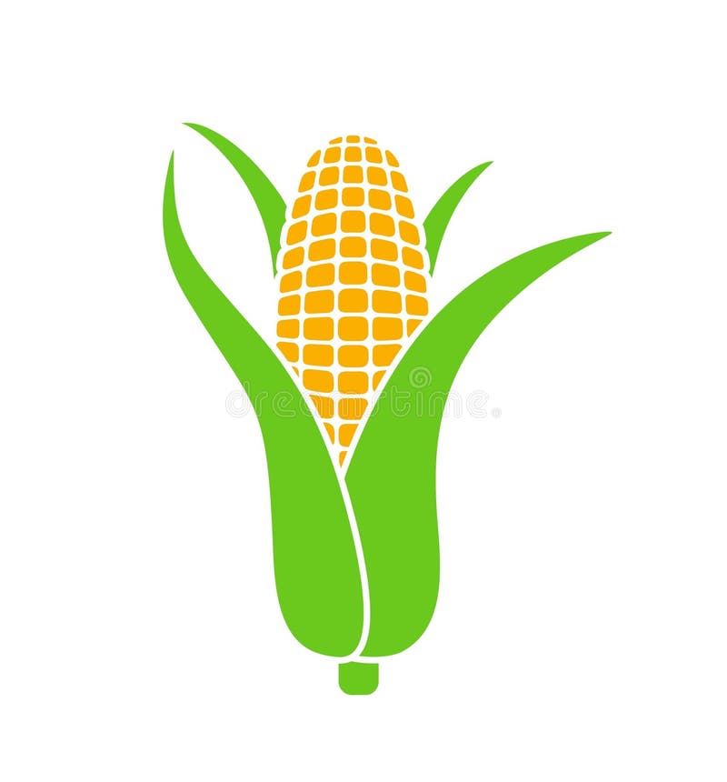 Corn Logo. Isolated Corn on White Background Stock Illustration ...