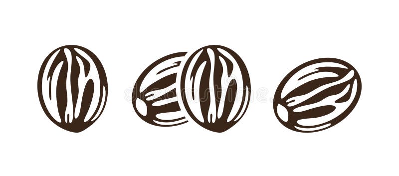 Nutmeg Logo. Isolated Nutmeg on White Background Stock Illustration ...