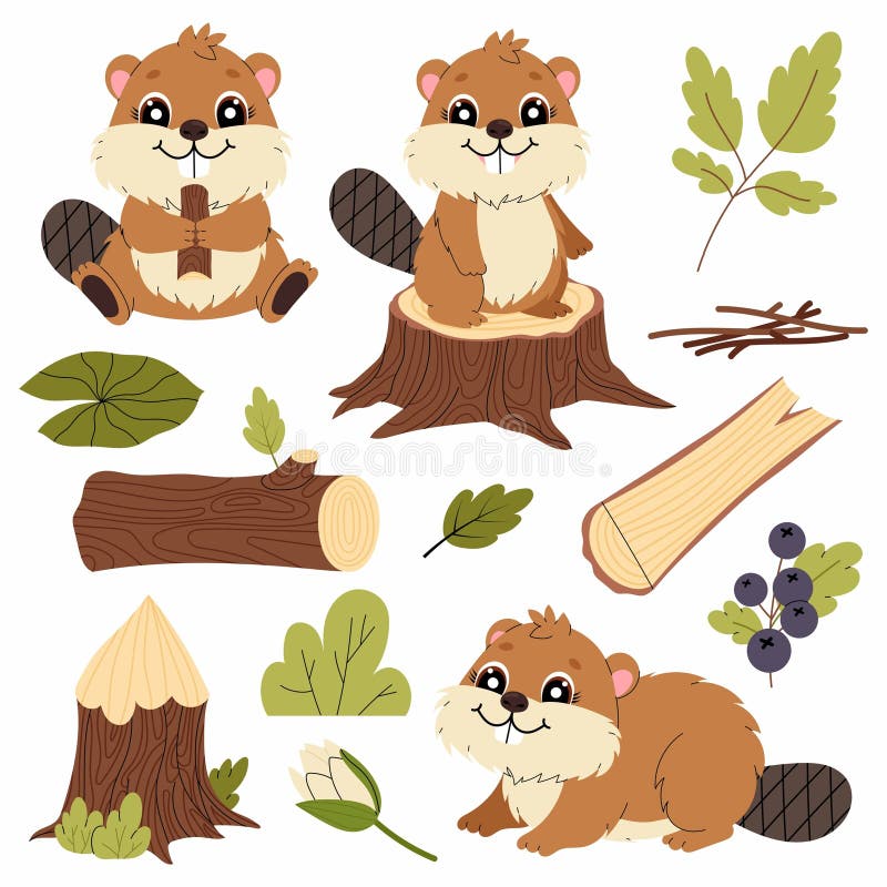 Beaver. a Set of Cartoon Illustration of a Cute Rodent. Wild Animals ...