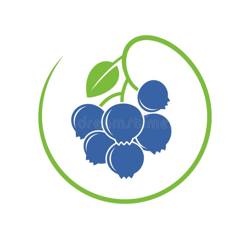 Blueberry vector. Logo stock vector. Illustration of isolated - 103194517