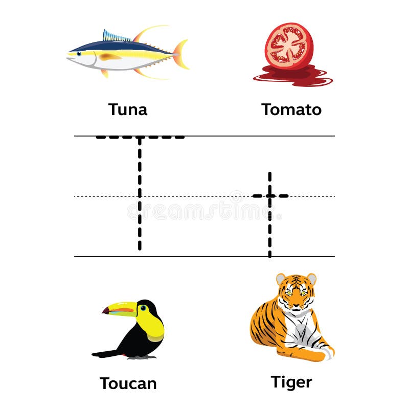 T Alphabet English Letter Tracing Learning Vector Preschool Stock ...