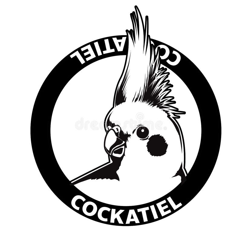 Cockatiel Stock Illustrations – 2,138 Cockatiel Stock Illustrations ...