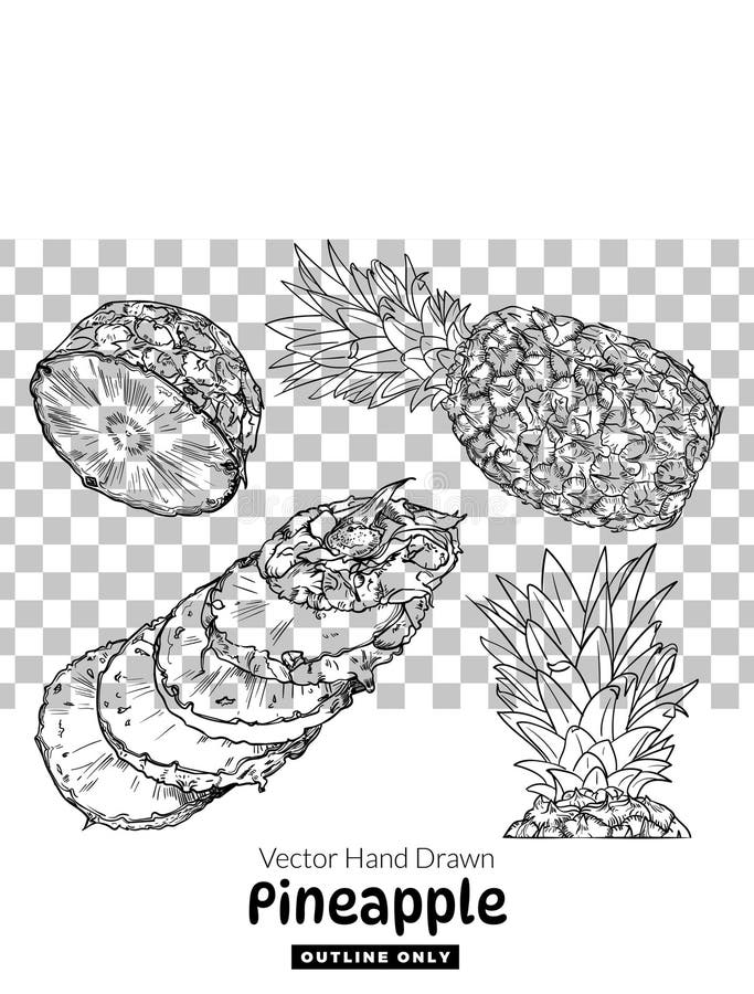 Outline Fruits Stock Illustrations – 23,886 Outline Fruits Stock ...