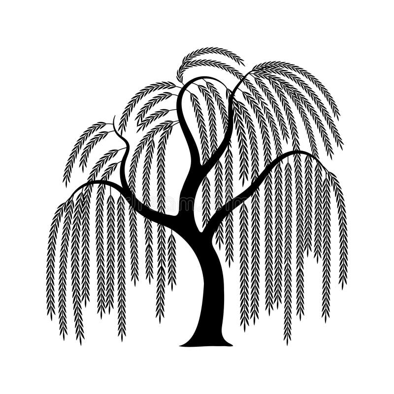 Willow Tree Silhouette Vector, Weeping Willow Tree Black and White ...