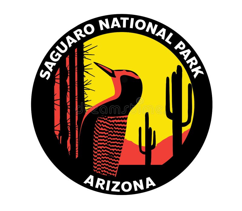 Saguaro National Park in Southern Arizona Monoline Line Art Drawing ...