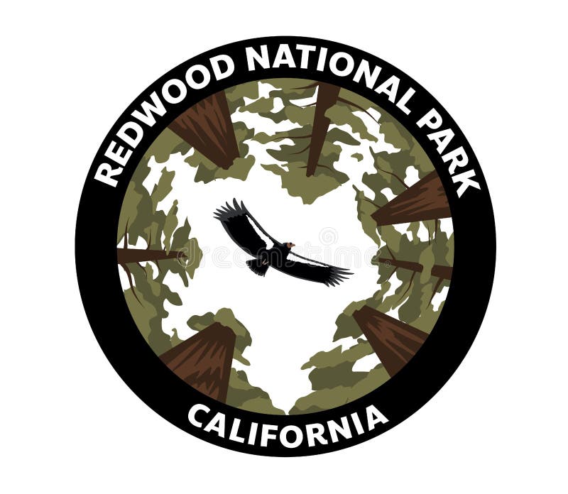 Redwood NATIONAL PARK California Vector Logo Vulture Condor Stock ...