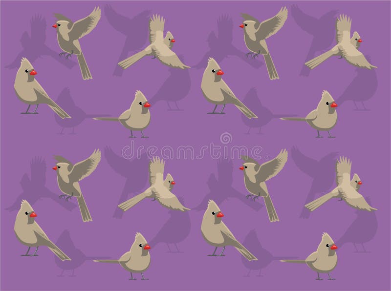 Female Cardinal Stock Illustrations – 606 Female Cardinal Stock ...
