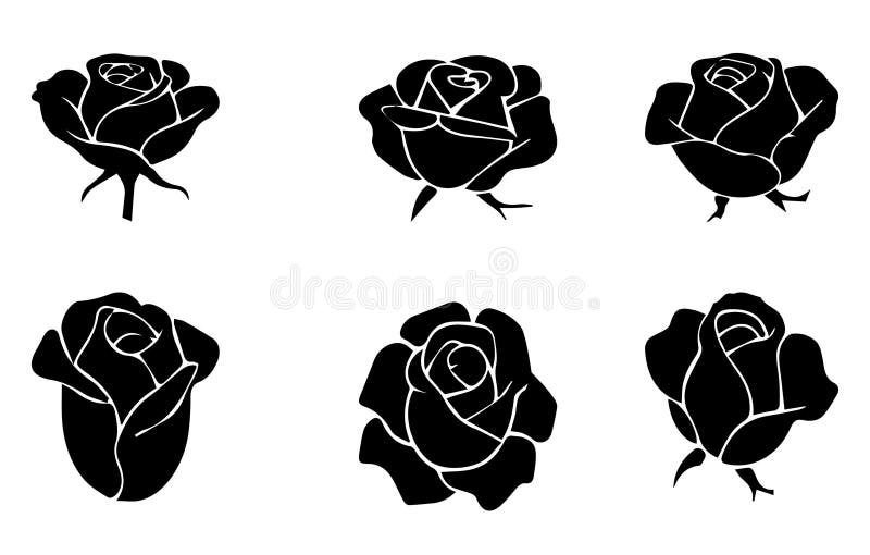 Rose flowers Collection stock illustration. Illustration of moustache ...