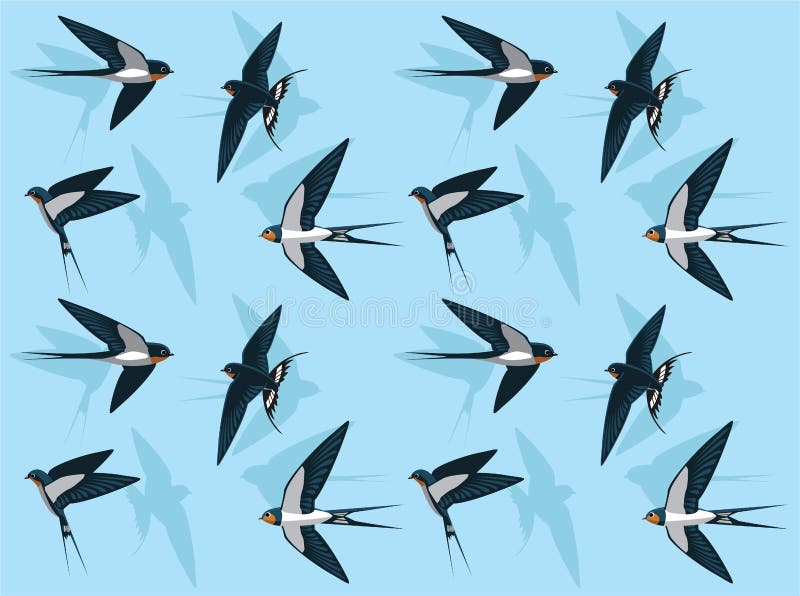 Bird Barn Swallow Flying Animation Straight Sequence Cartoon Vector ...