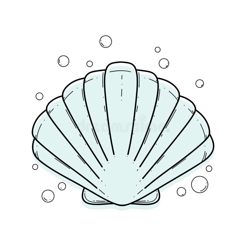 Beautiful Hand-painted Seashell Isolated on White, Contour Line ...