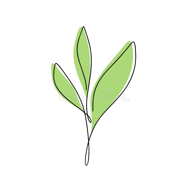 A Twig with Young Fresh Green Leaves, Hand-drawn, Isolated, Sketch ...