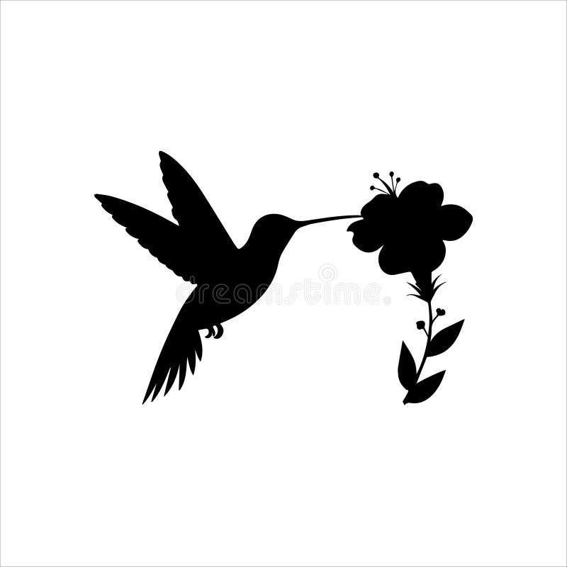 Hummingbird Silhouette Silhouette Vector Illustrations Stock ...