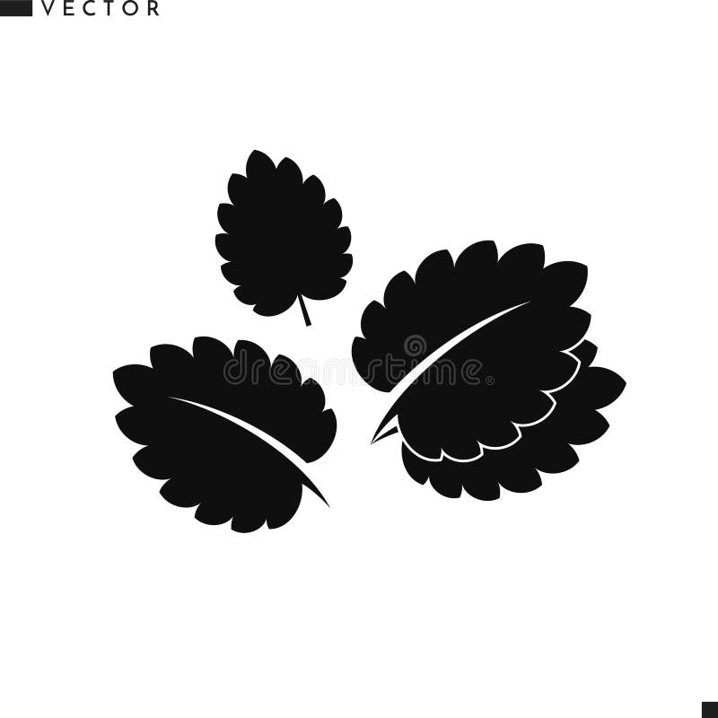 Mint Leaves Silhouette. Mint Icon Set Stock Vector - Illustration of ...