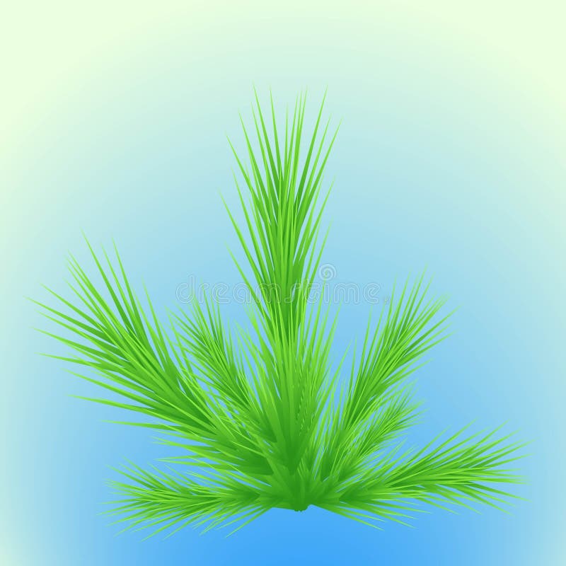 Abstract Background in the Form of a Pine Branch Stock Vector ...