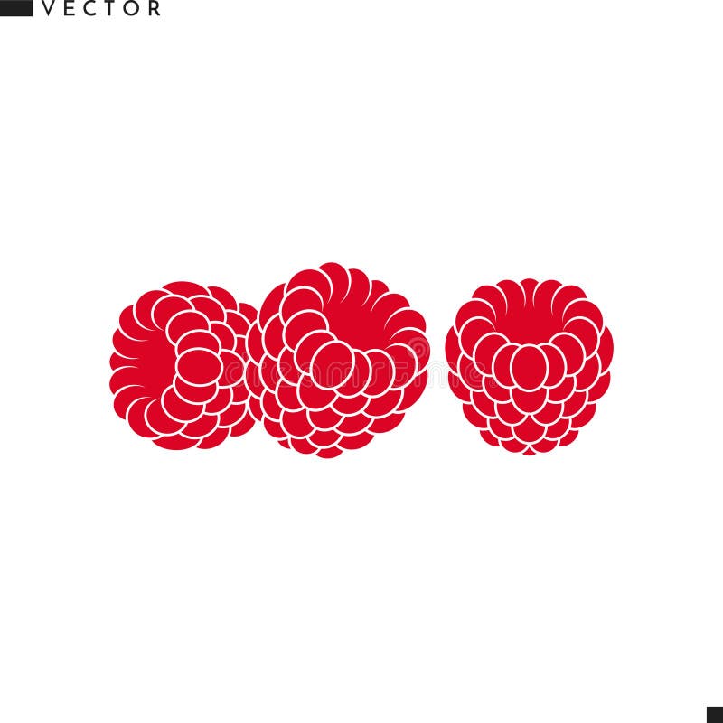 Raspberry stock vector. Illustration of vegan, food - 353042932