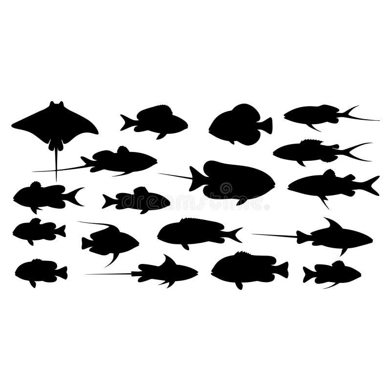 Fish Silhouette Bundle - Set of 20 Marine and Freshwater Fish ...