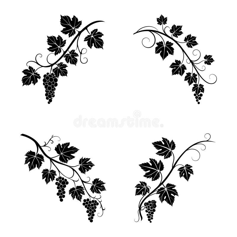Grapevine Silhouettes Black Color Simple Clean Vector Illustrations ...