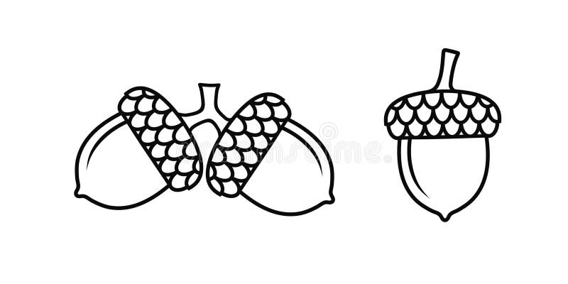 Acorn Outline. Isolated Acorn Outline on White Background Stock Vector ...