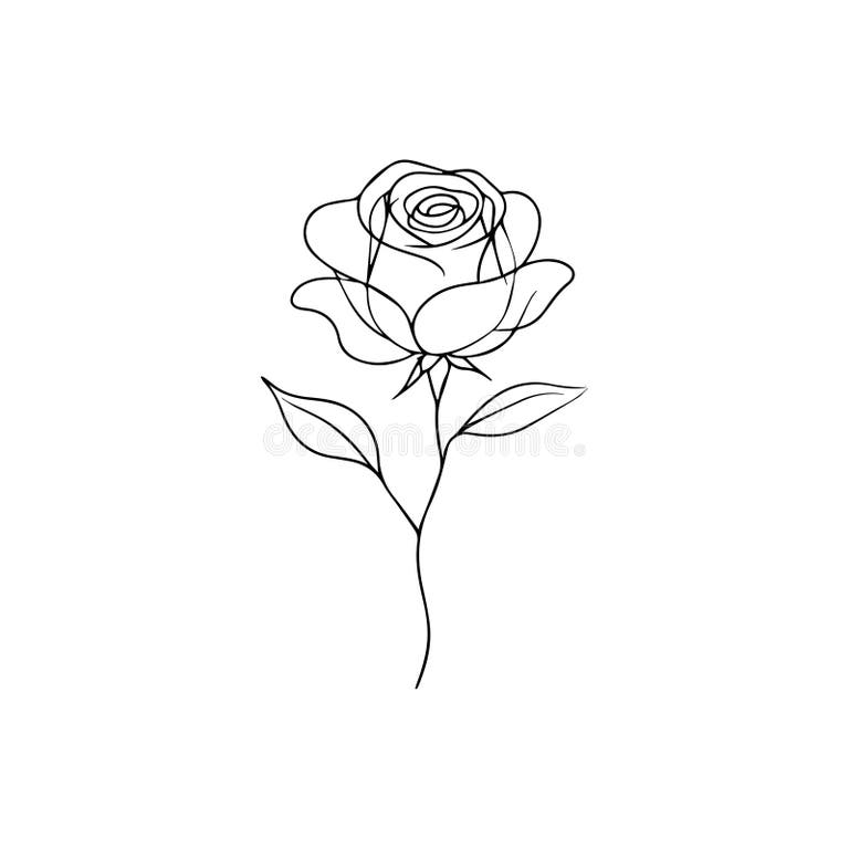 Rose Continuous Line Drawing Stock Illustrations – 3,103 Rose ...