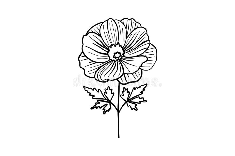 A Minimal, Simple, Elegant Flower. Good for Any Project. Stock Vector ...