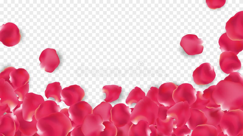 Realistic Red Rose Petals Flying Around Isolated Vector. Stock Vector ...