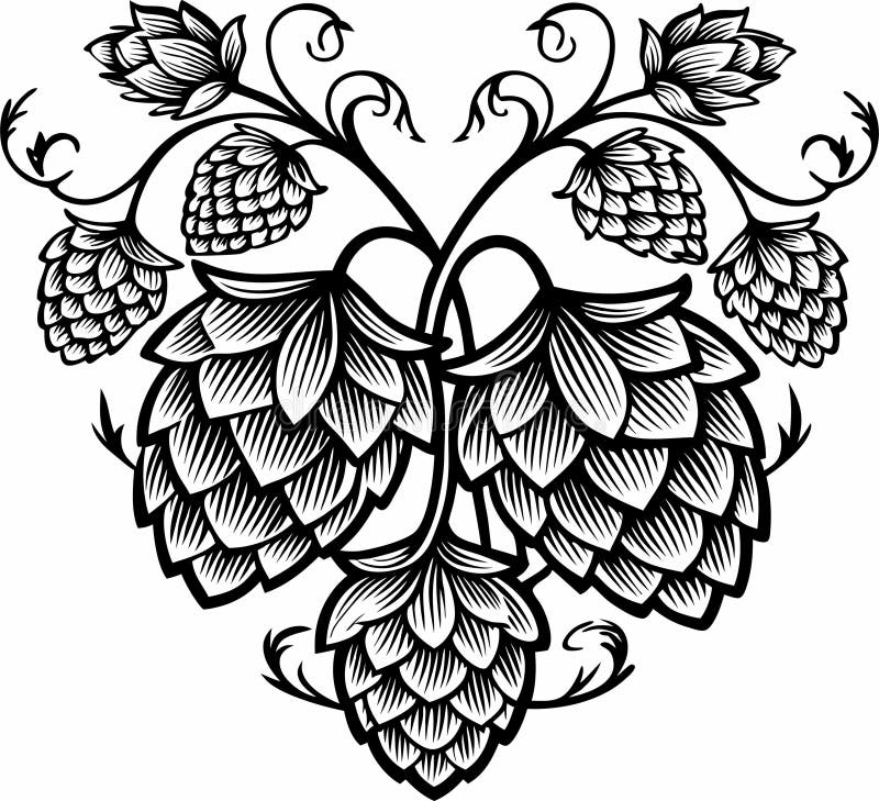Heart-shaped Hops and Barley. Black Illustration, Etching, Vintage ...