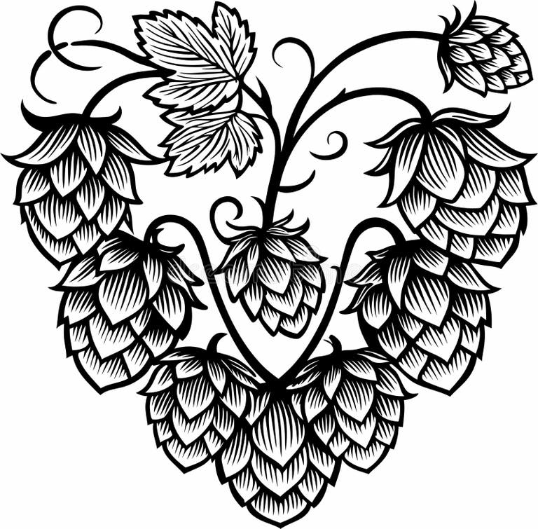 Heart-shaped Hops and Barley. Black Illustration, Etching, Vintage ...