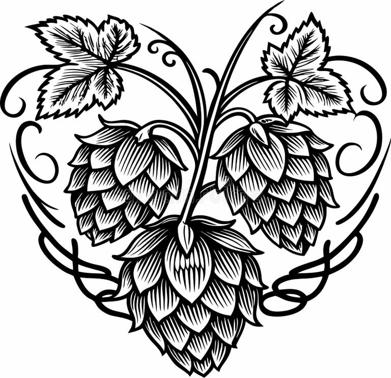 Heart-shaped Hops and Barley. Black Illustration, Etching, Vintage ...