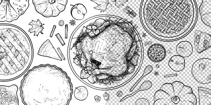 Vector Thanksgiving Line Art on Transparent Back Stock Vector ...