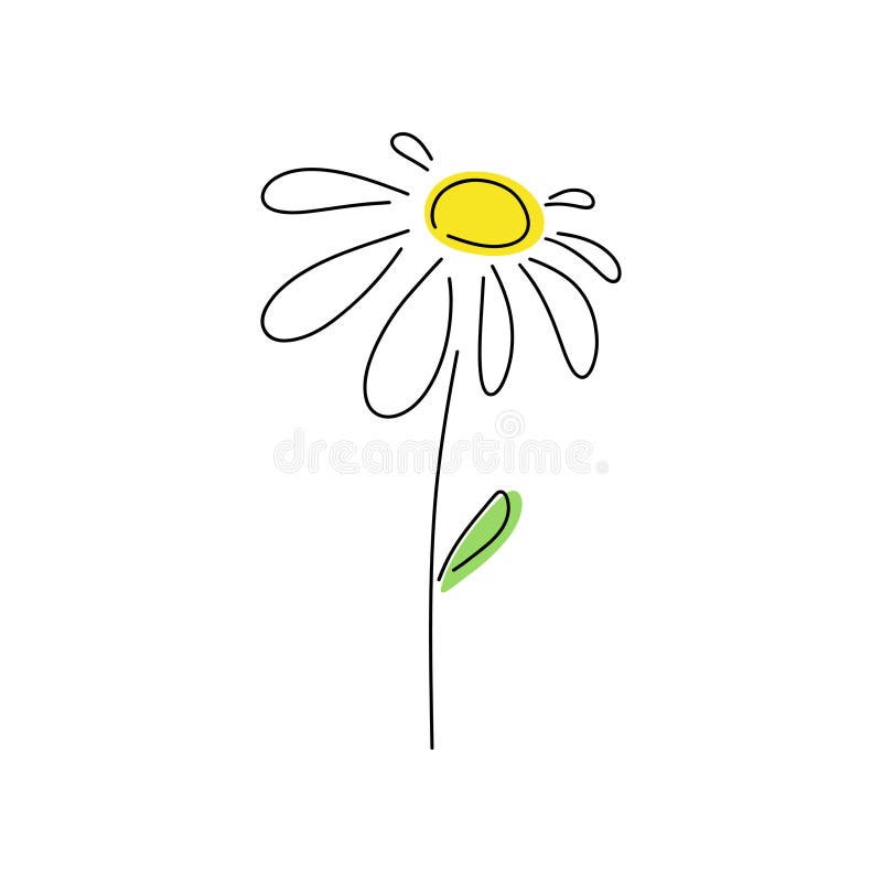 Chamomile Flower on a Stem with a Leaf, Hand-drawn Line, Isolated on a ...