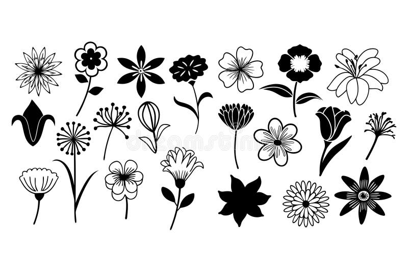 Nice Flower Outline Vector Design Stock Vector - Illustration of branch ...