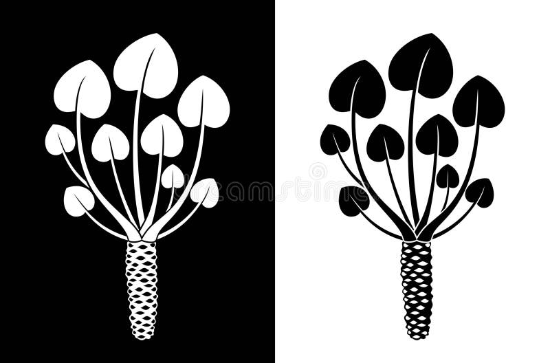 Wasabi Plant Logo Stock Illustrations – 32 Wasabi Plant Logo Stock ...