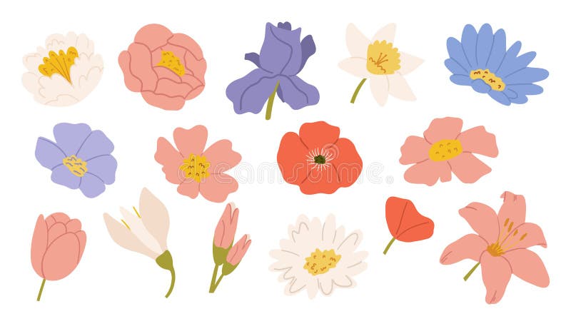 Set of Hand Drawn Spring Flowers. Vector Illustration in Flat Style ...